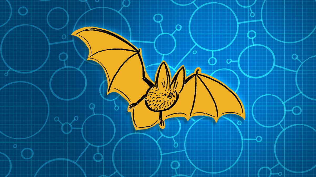 BBC World Service - 30 Animals That Made Us Smarter, Bat and robot