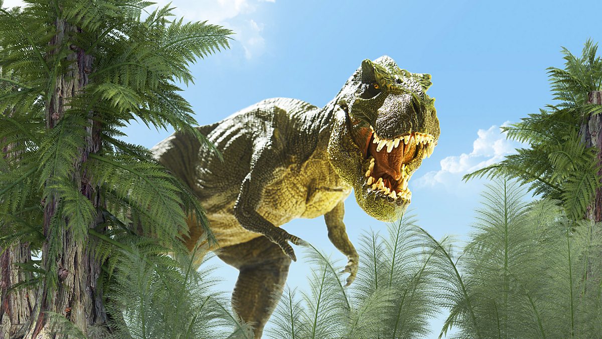 BBC Radio - Learning English from the News, Tiny 'cousin' of T.rex ...