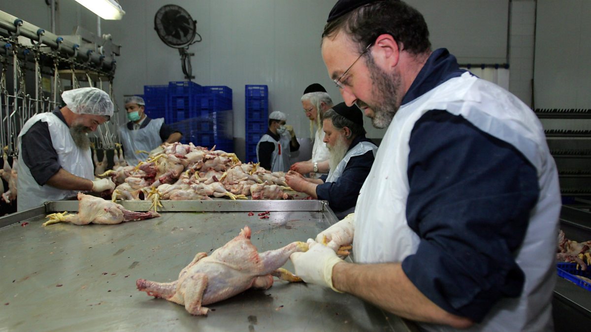 BBC World Service - The Food Chain, Ritual slaughter under threat, New ...