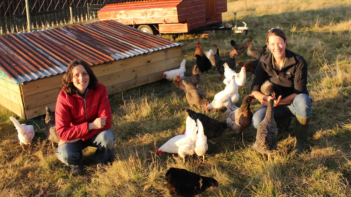 This Farming Life - Series 3: Episode 12 - BBC iPlayer