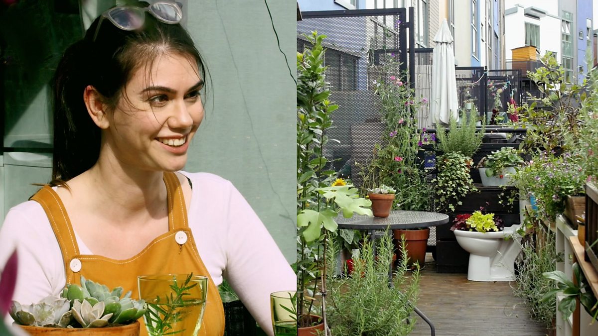 BBC Scotland - BBC Scotland - The defiant student making a lush urban ...