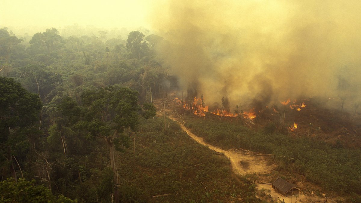 BBC World Service - Digital Planet, How are the Amazon's fires tracked ...