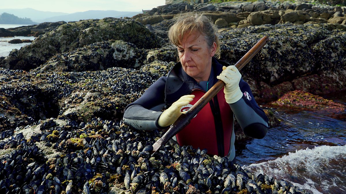 BBC World Service - Outlook, Spain's fearless barnacle-hunting sisters