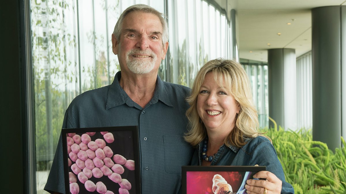 BBC World Service - The Outlook Podcast Archive, 'If you want to live ...