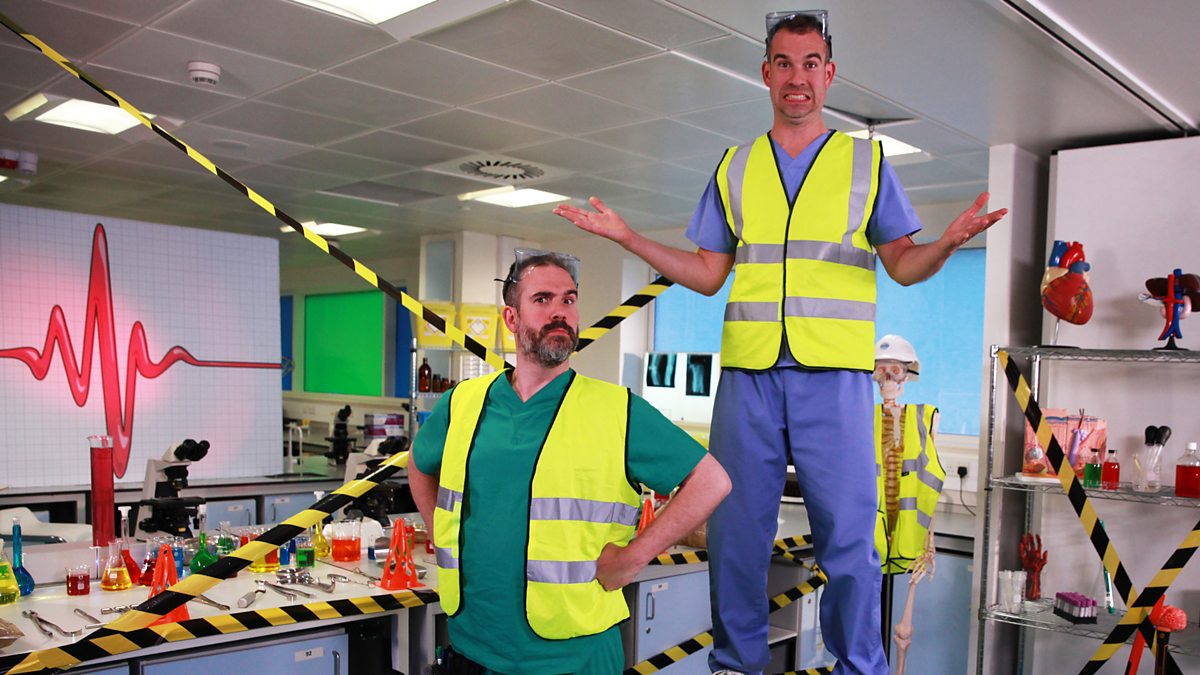 Operation Ouch! - Series 8: 1. Were Having a Baby - BBC iPlayer