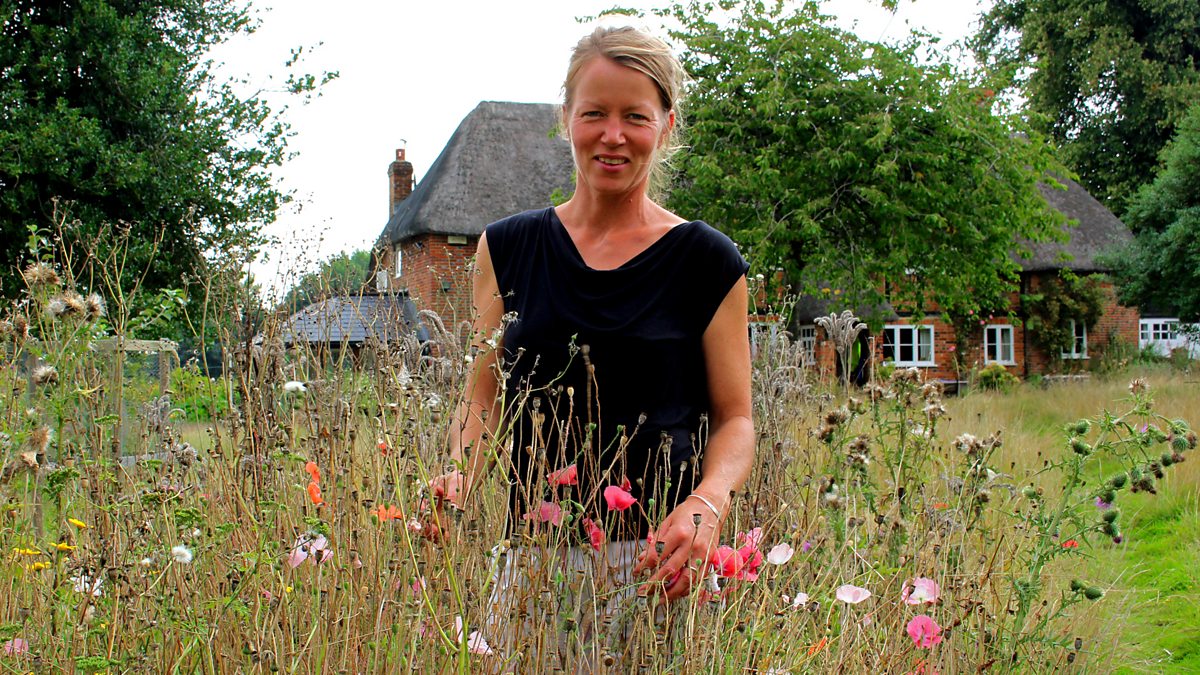 BBC Radio 4 - Costing the Earth, Verity's Wild Garden