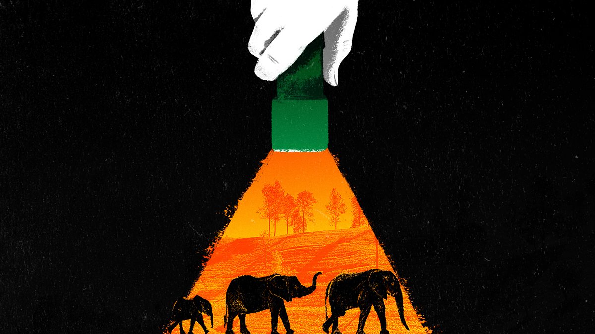 BBC World Service - The Documentary, Detours, Where the homeless ...