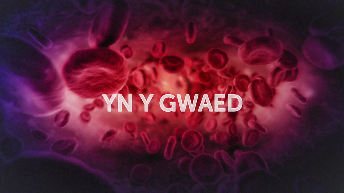 S4C - Yn y Gwaed