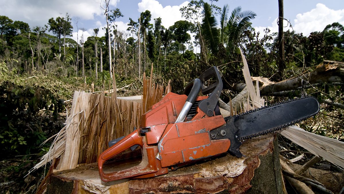 BBC World Service - More or Less, Deforestation in Brazil