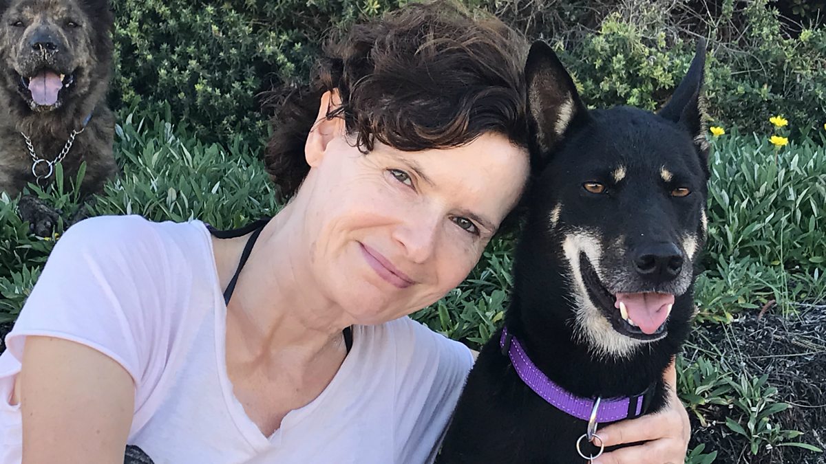 BBC World Service - Outlook, How I fixed my own brain