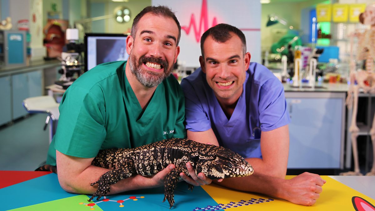 Operation Ouch! - Series 8: 3. Theres a Lizard in the Lab - BBC iPlayer