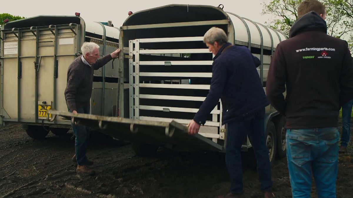 BBC Two - Our Farming Life, Series 1, Episode 1, 'You never know...it ...
