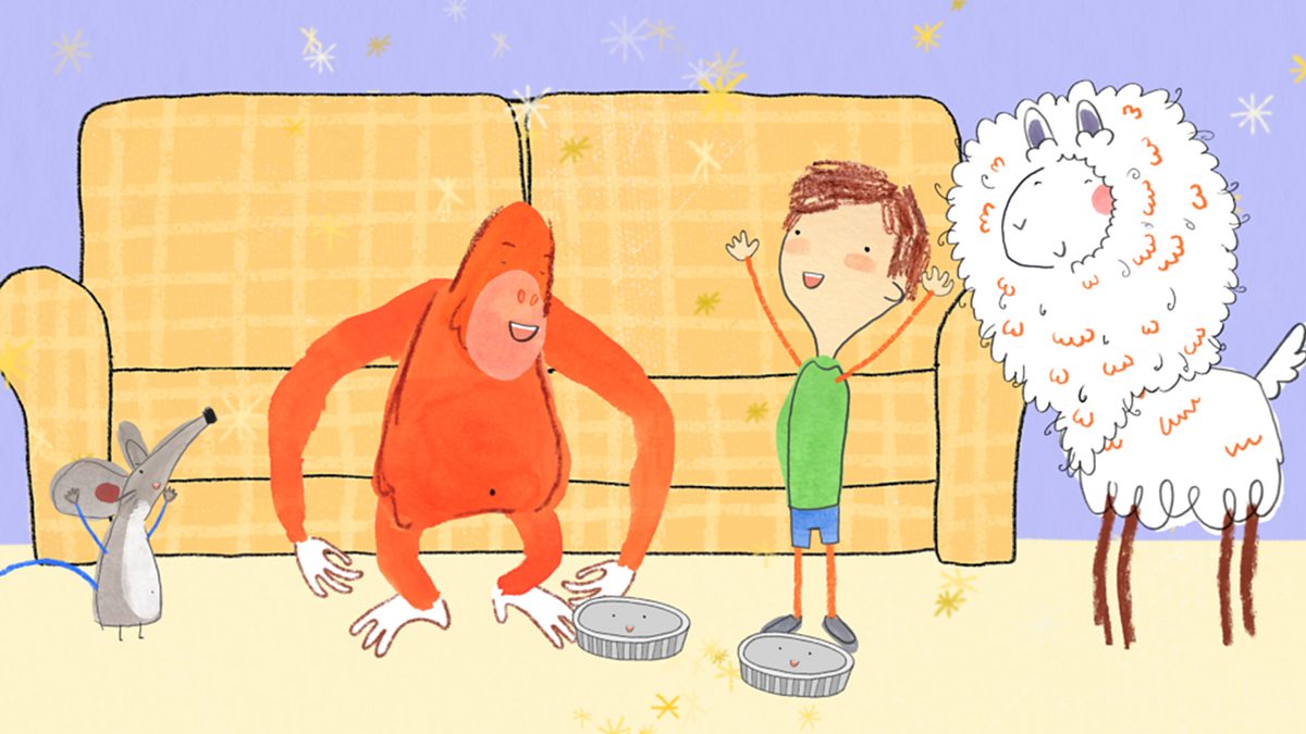 Pablo - Series 2: 3. Llama the Lion - BBC iPlayer