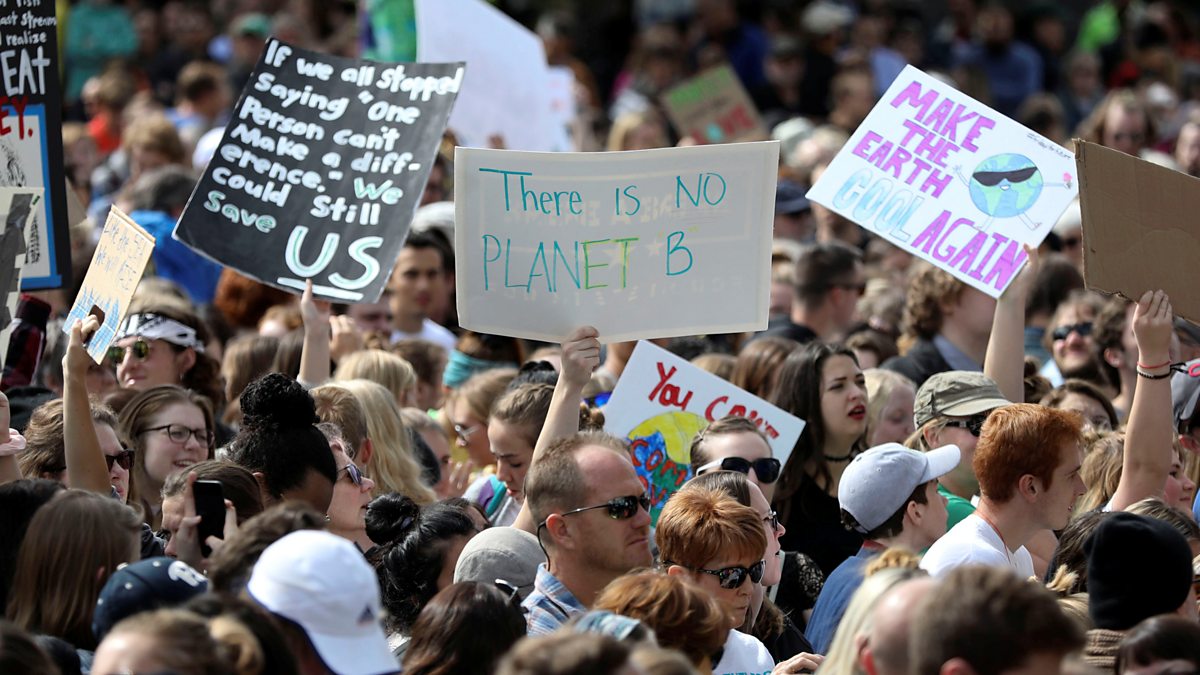 BBC Radio 4 - Money Box, Can my money help fight climate change?