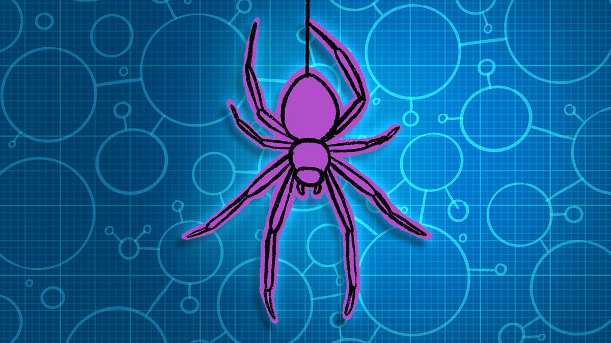 BBC World Service - 30 Animals That Made Us Smarter, Spider and remote ...