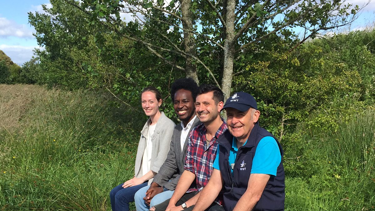 BBC World Service - The Compass, Dominion, Dominion: The animals and ...