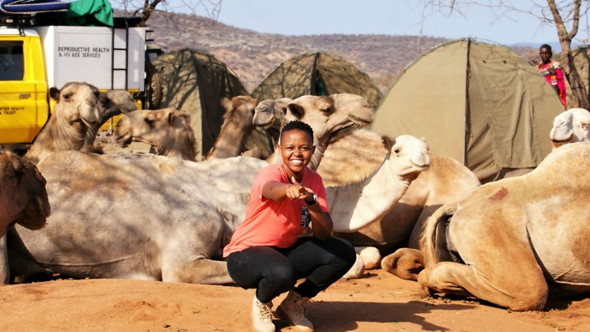 BBC World Service - The Fifth Floor, Kenya's camel-back clinic