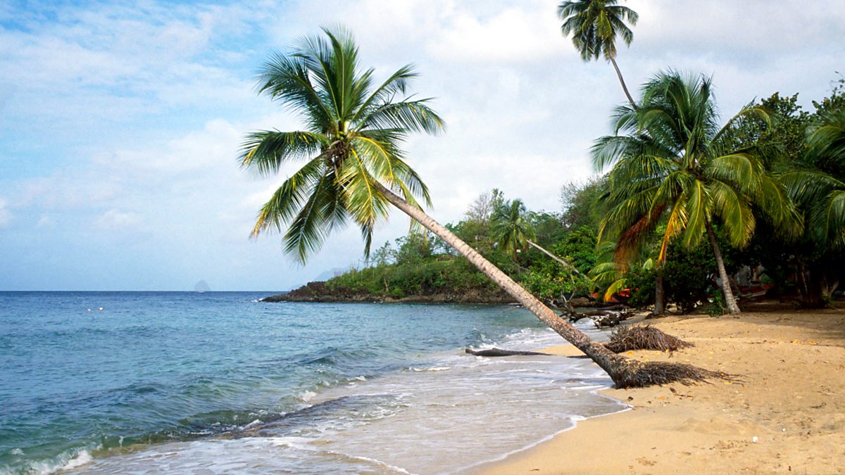 BBC Radio 4 Extra - Homecoming by Colin Grant (Omnibus)