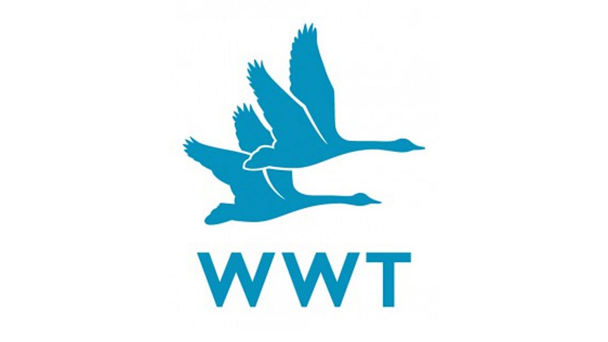 BBC Blogs - Springwatch - WWT