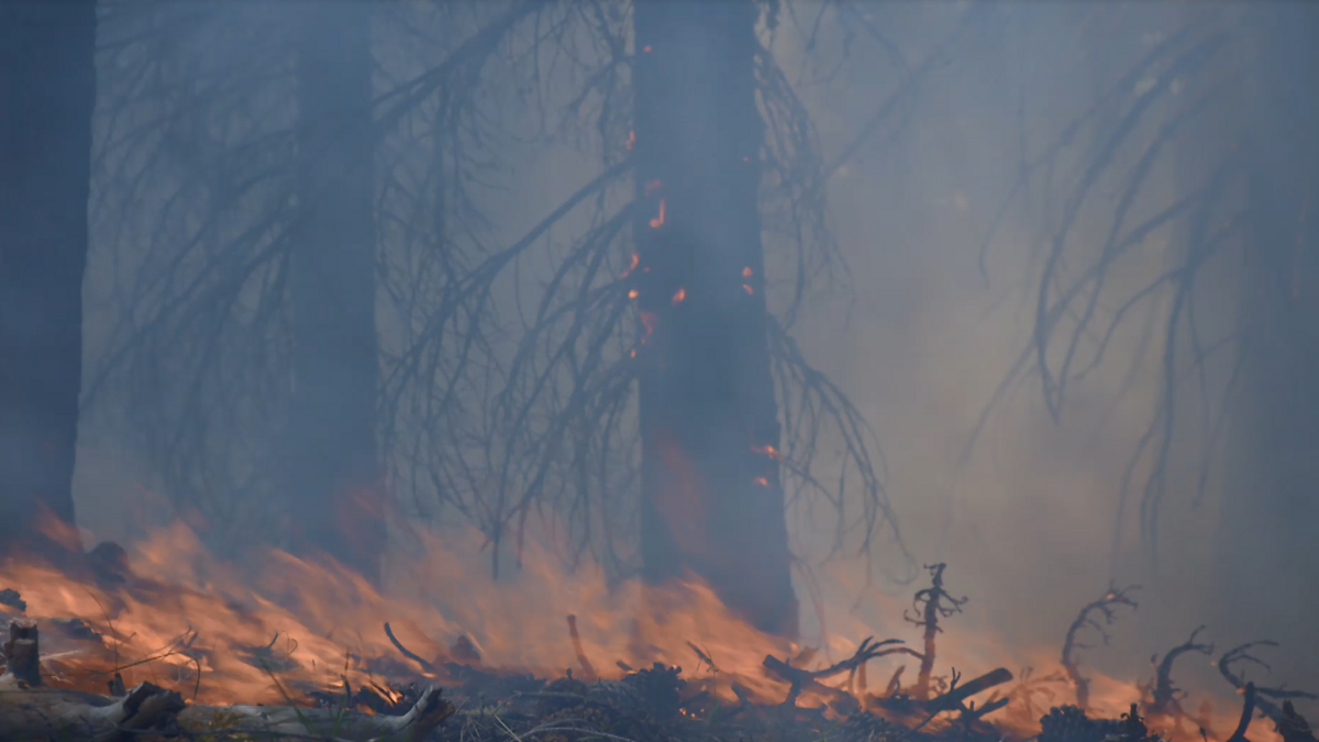 BBC Two - The Americas with Simon Reeve, Simon joins firefighters in ...