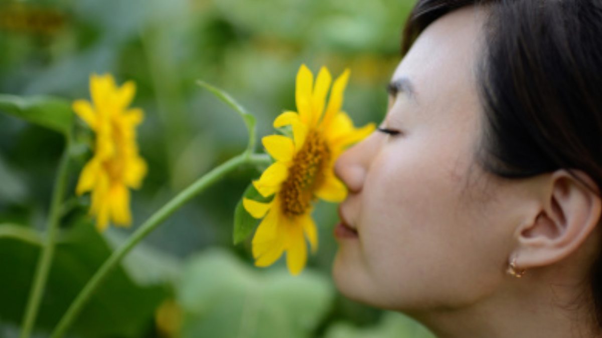 BBC Radio 5 Live - 5 Live In Short, The science of smelling explained