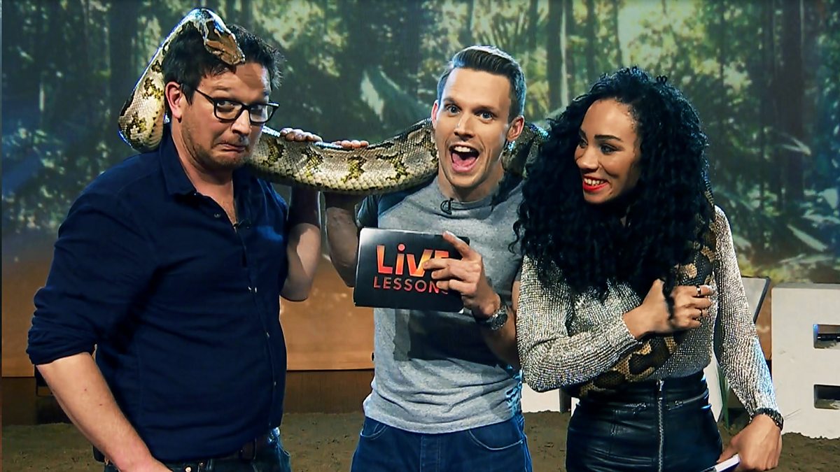 BBC Bitesize - BBC Live Lessons, Series 1, Terrific Scientific - Feet