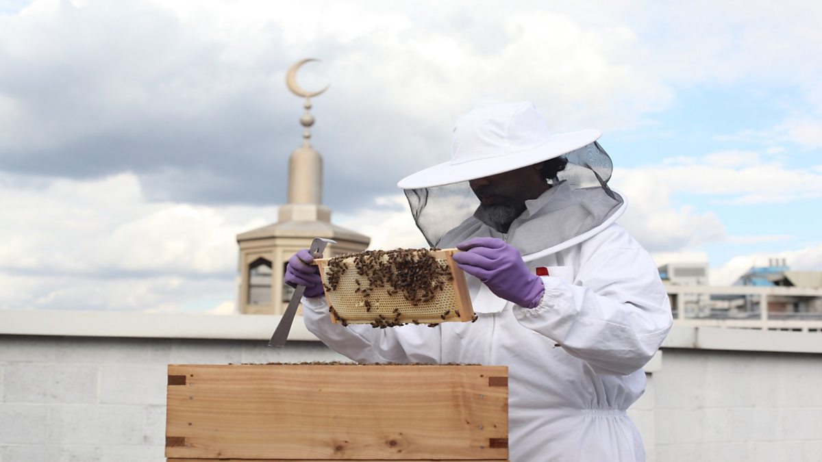 BBC World Service - Heart and Soul, Praise bee