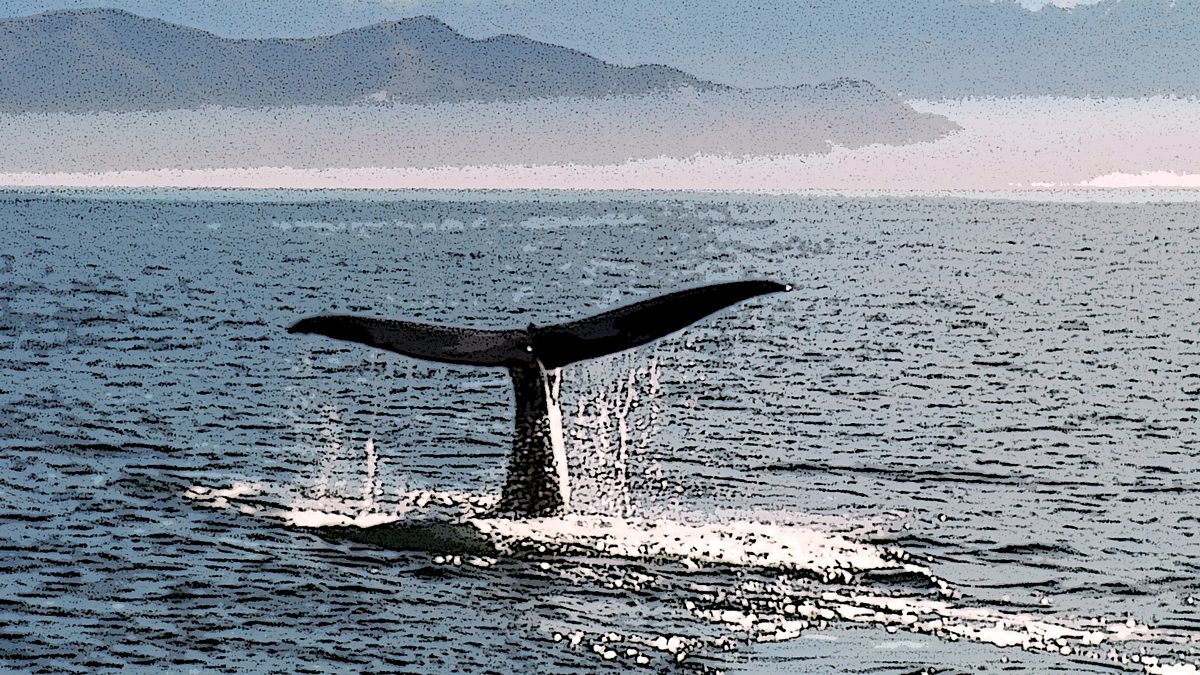 BBC Radio 4 - Mr Pye