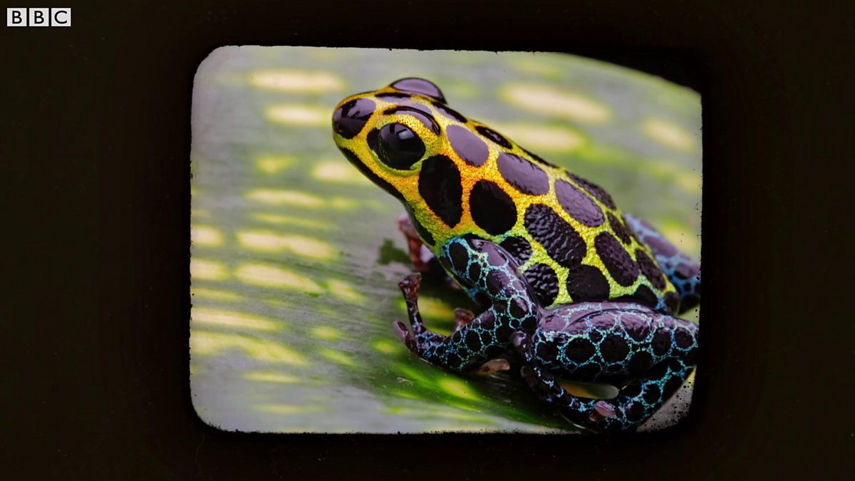 BBC Four - Secrets of Skin, Series 1, Defence, One of the most toxic ...