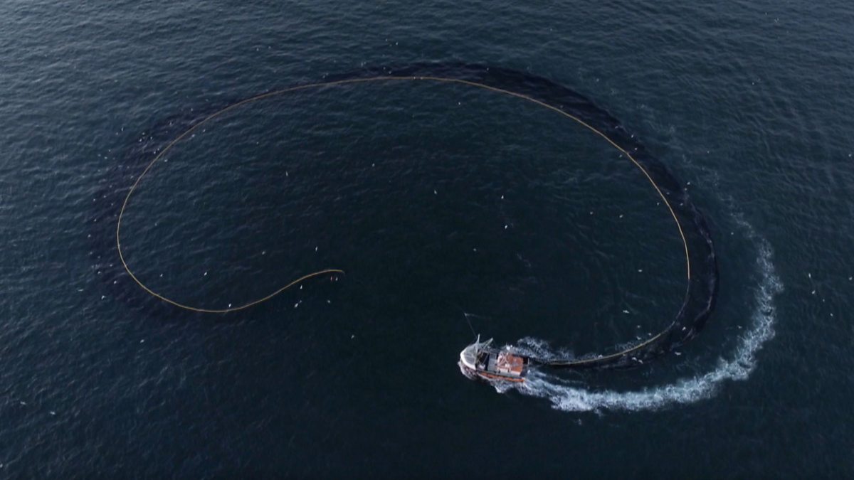 BBC Two - Cornwall: This Fishing Life, Series 1, Episode 2, How ...