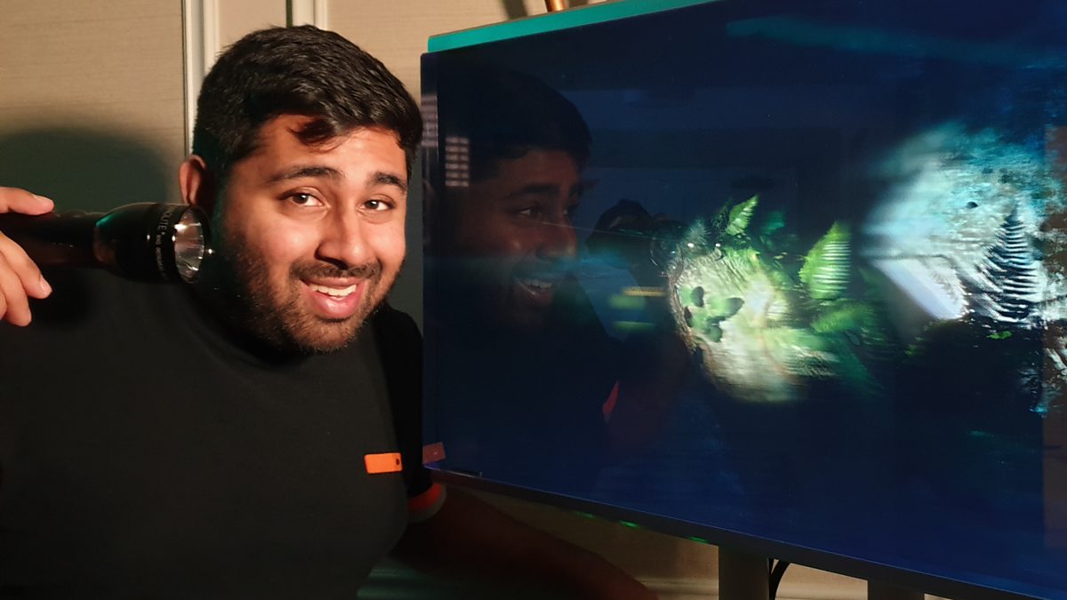 BBC News - Click, TV lets you shine a torch into its shadows