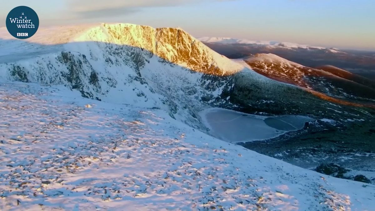 BBC Two - Winterwatch, The Living Mountain