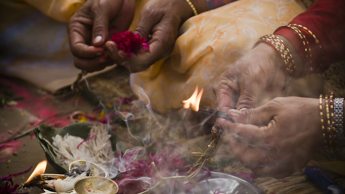 BBC World Service - CrowdScience, How did humans discover medicine?