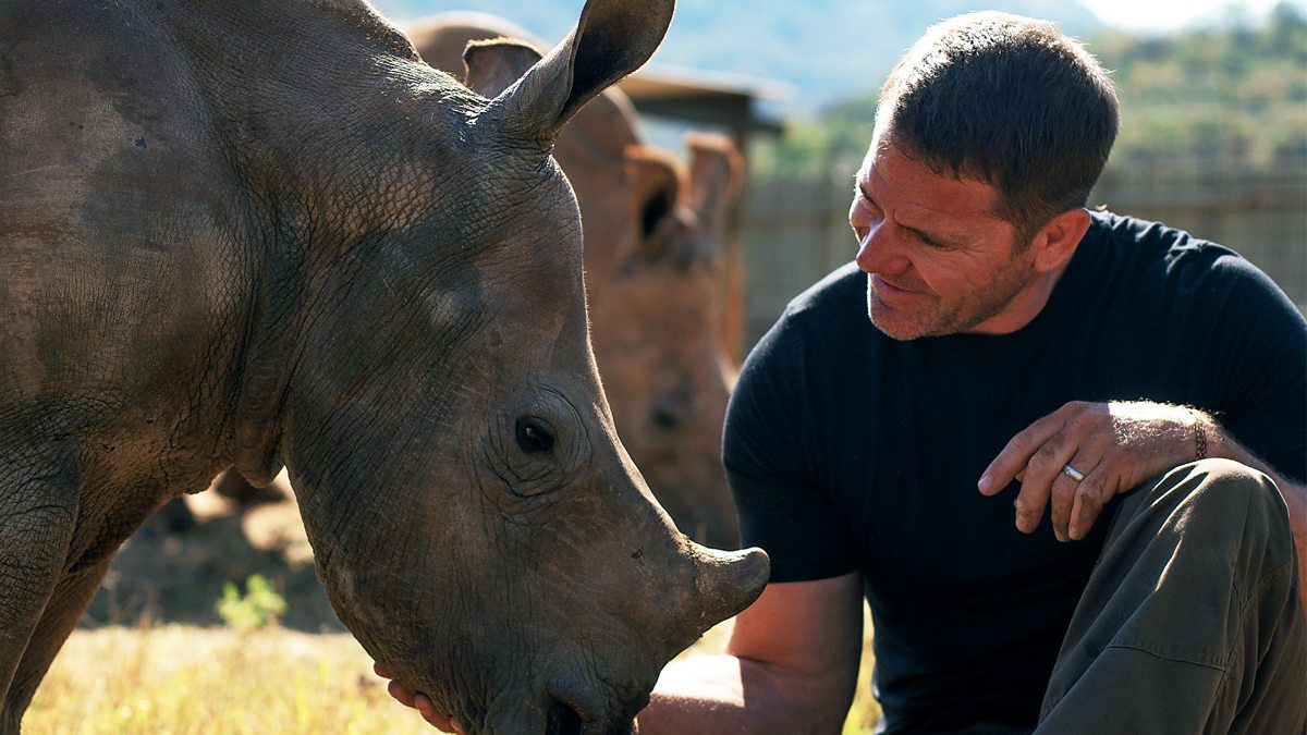Deadly 60 - Series 4: 1. Rhino Rescue Special - BBC iPlayer