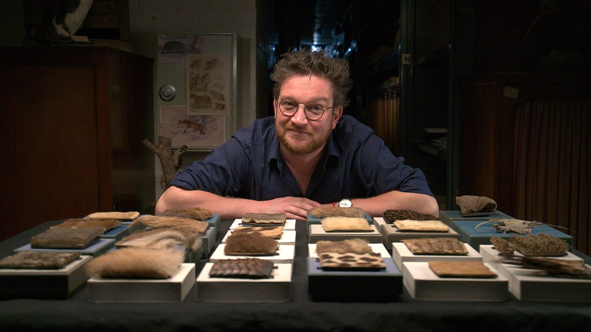 BBC Four - Secrets of Skin - The most extraordinary skin on the planet