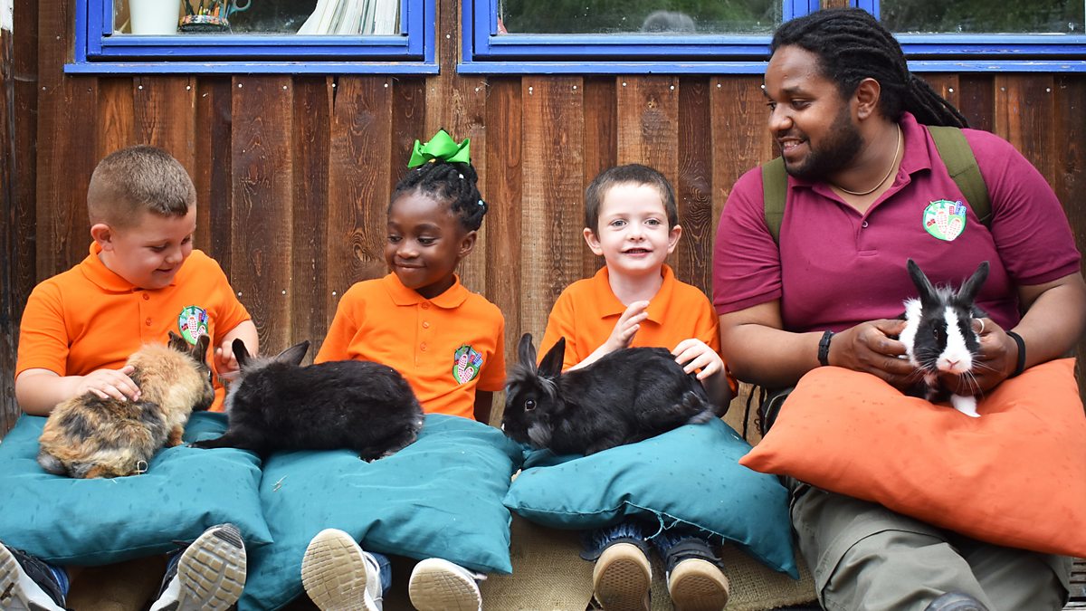 Lets Go for a Walk - Series 1: 5. Sheep and Shiny Fish Walk - BBC iPlayer