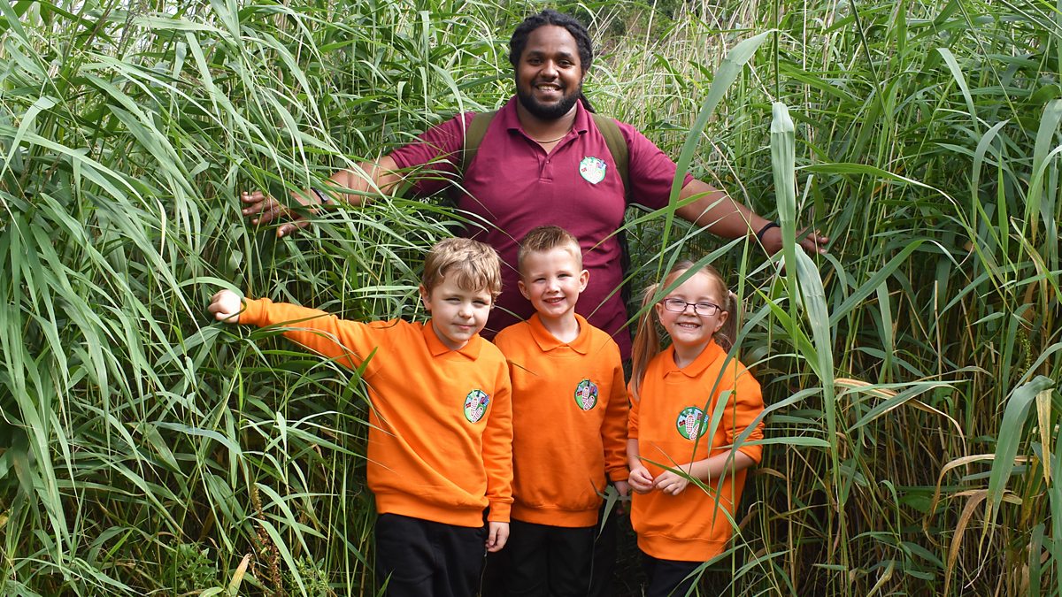 CBeebies - Let's Go for a Walk, Series 1, Bugs and Bark Walk