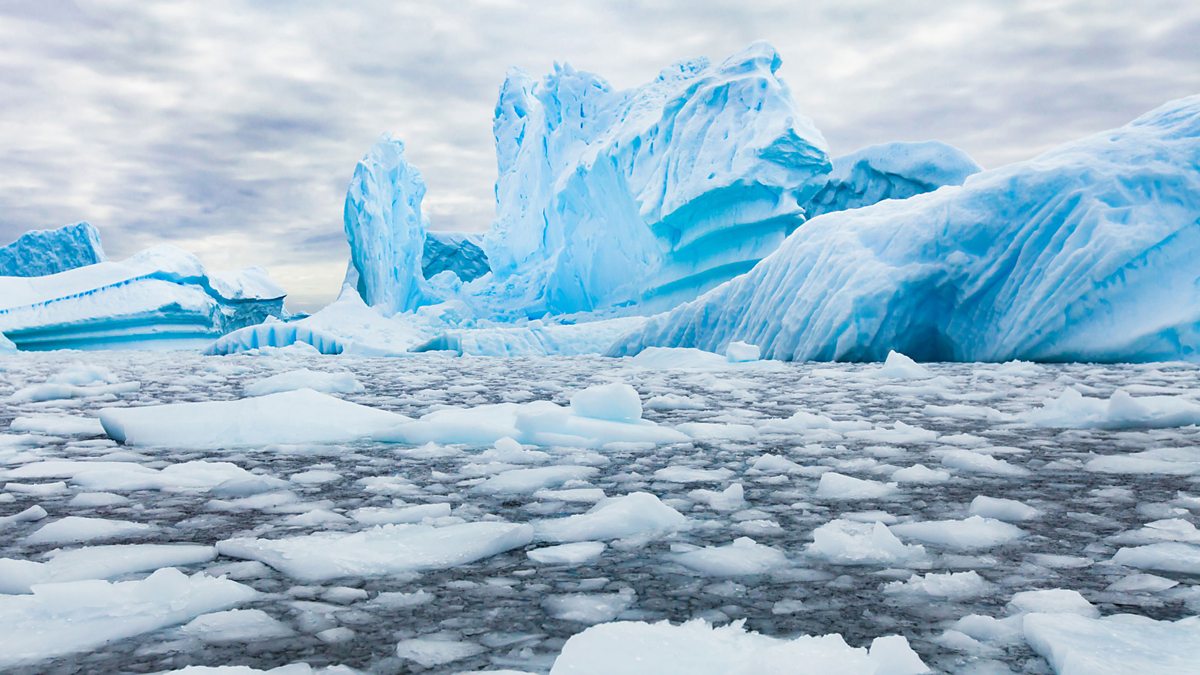 BBC World Service - Witness History, Saving Antarctica