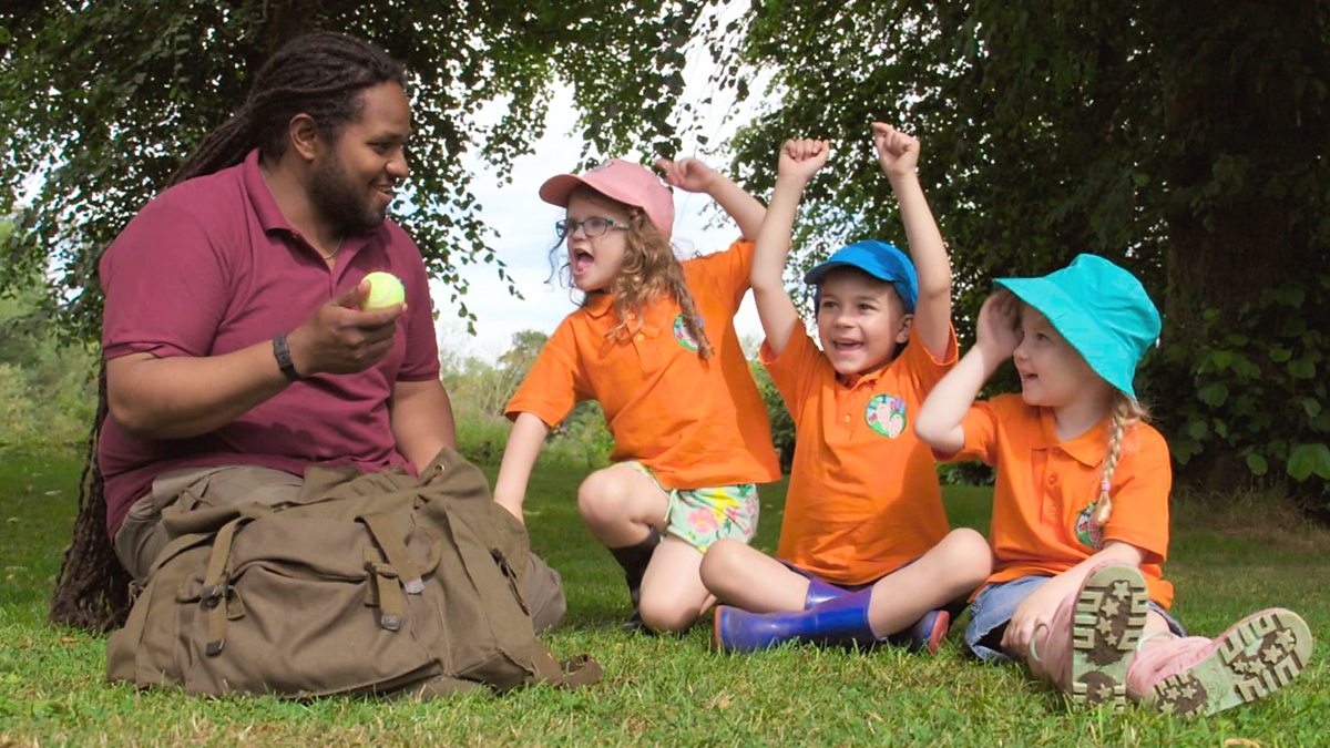 CBeebies - Let's Go for a Walk, Series 1, Crocodile and Rounders Walk