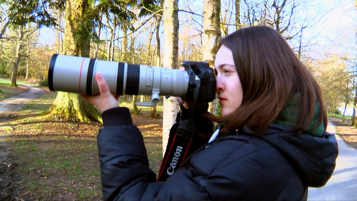 BBC One - South East Today, Teenage birdwatcher: 'It's a real passion ...