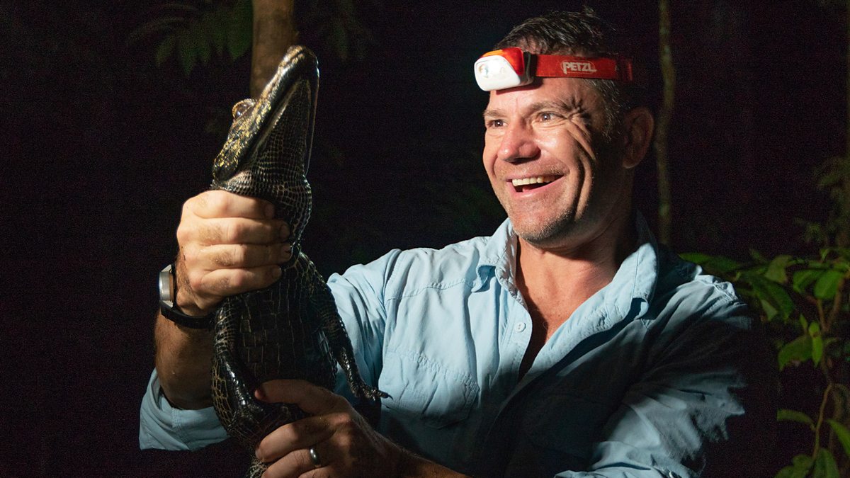 BBC iPlayer - Deadly 60 - Series 4: 3. Gabon Jungle