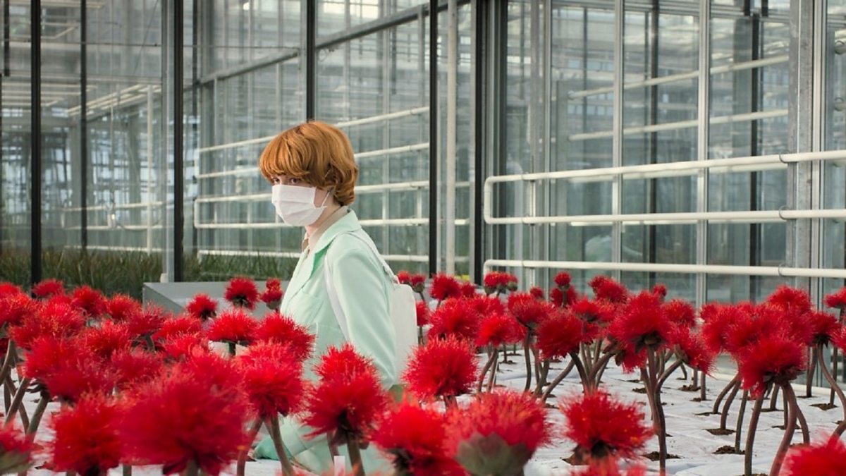 BBC Radio 5 Live - Kermode and Mayo's Film Review, Steve Coogan, Greed ...