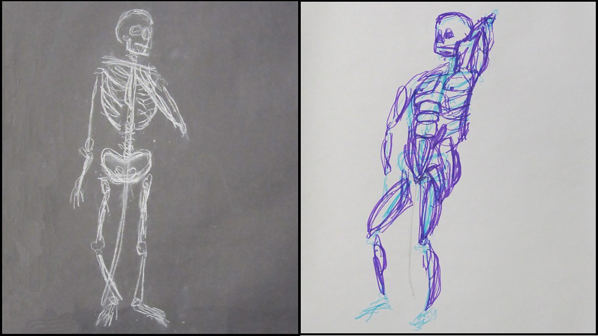 BBC World Service - Health Check, How life drawing helps us to ...