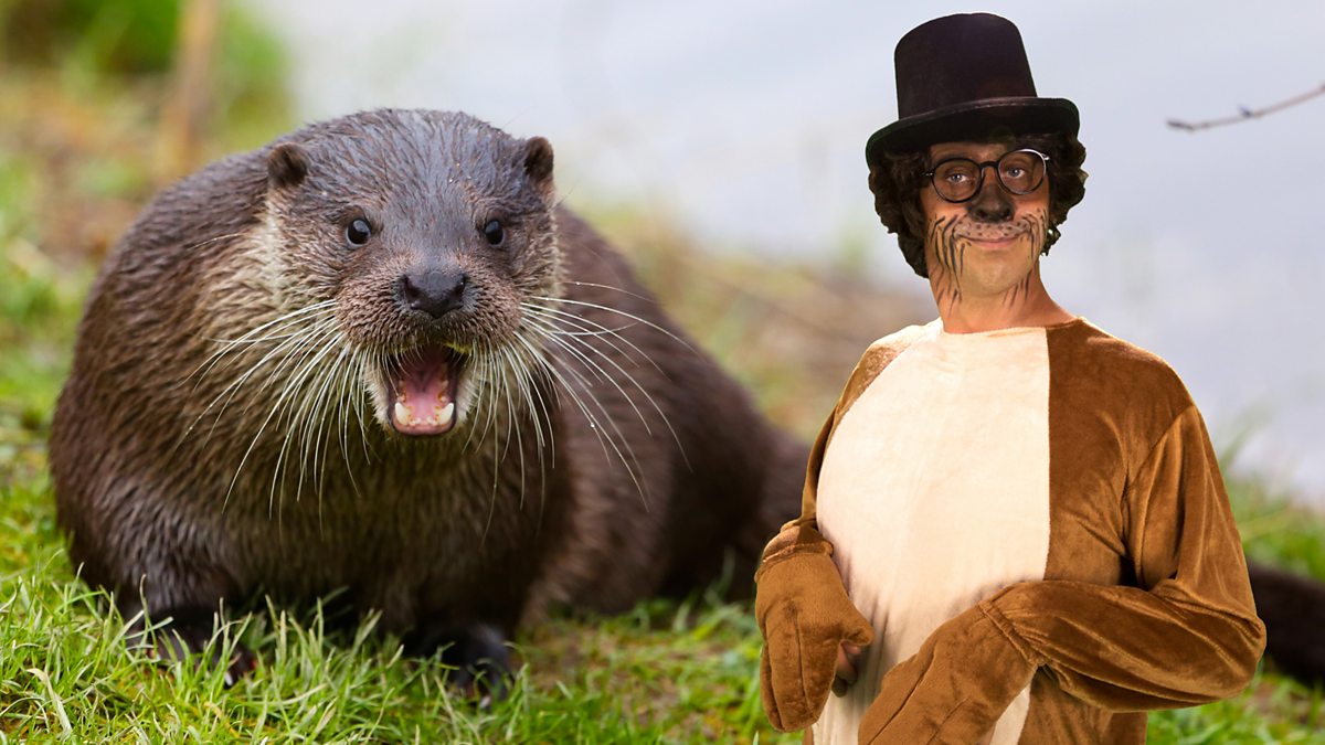 CBeebies - Andy’s Aquatic Raps