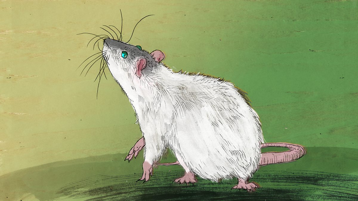 BBC Radio 4 - The Digital Human, Series 19, Lab Rats