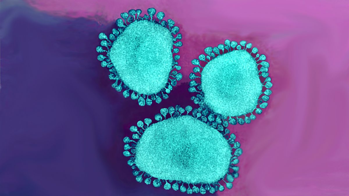 BBC Radio 4 - The World Tonight, Coronavirus global infections pass ...