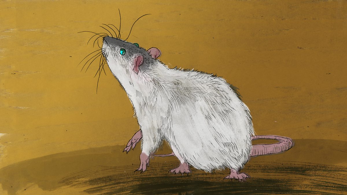 BBC Radio 4 - The Digital Human, Series 19, Lab Rats, Corrupted Blood ...