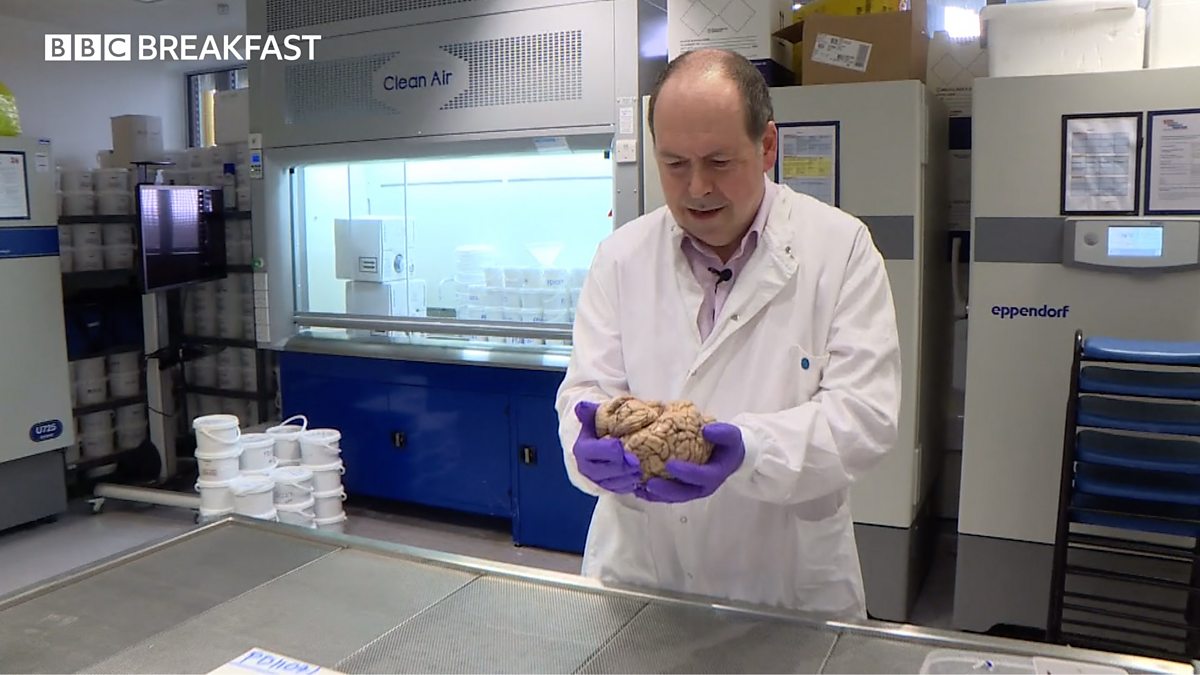 BBC One - Breakfast, What happens when you donate your brain?