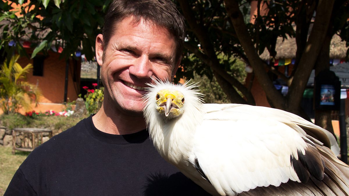 Deadly 60 - Series 3: 12. Nepal - BBC iPlayer