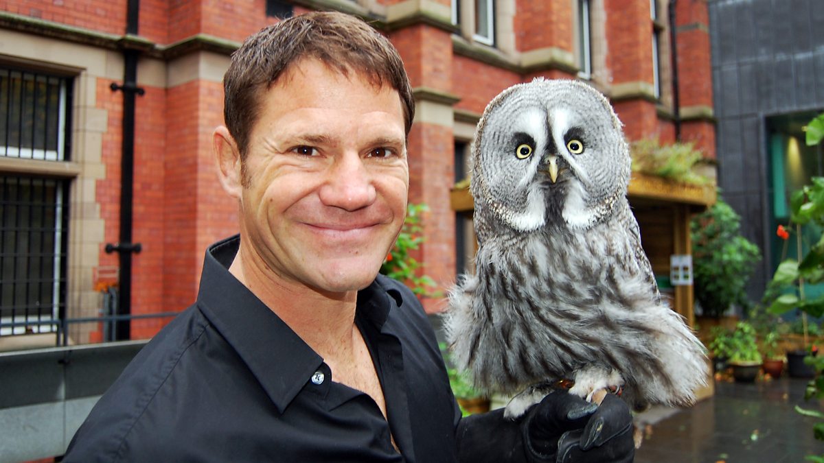 Deadly 60 - Series 3: 22. Superpower - BBC iPlayer